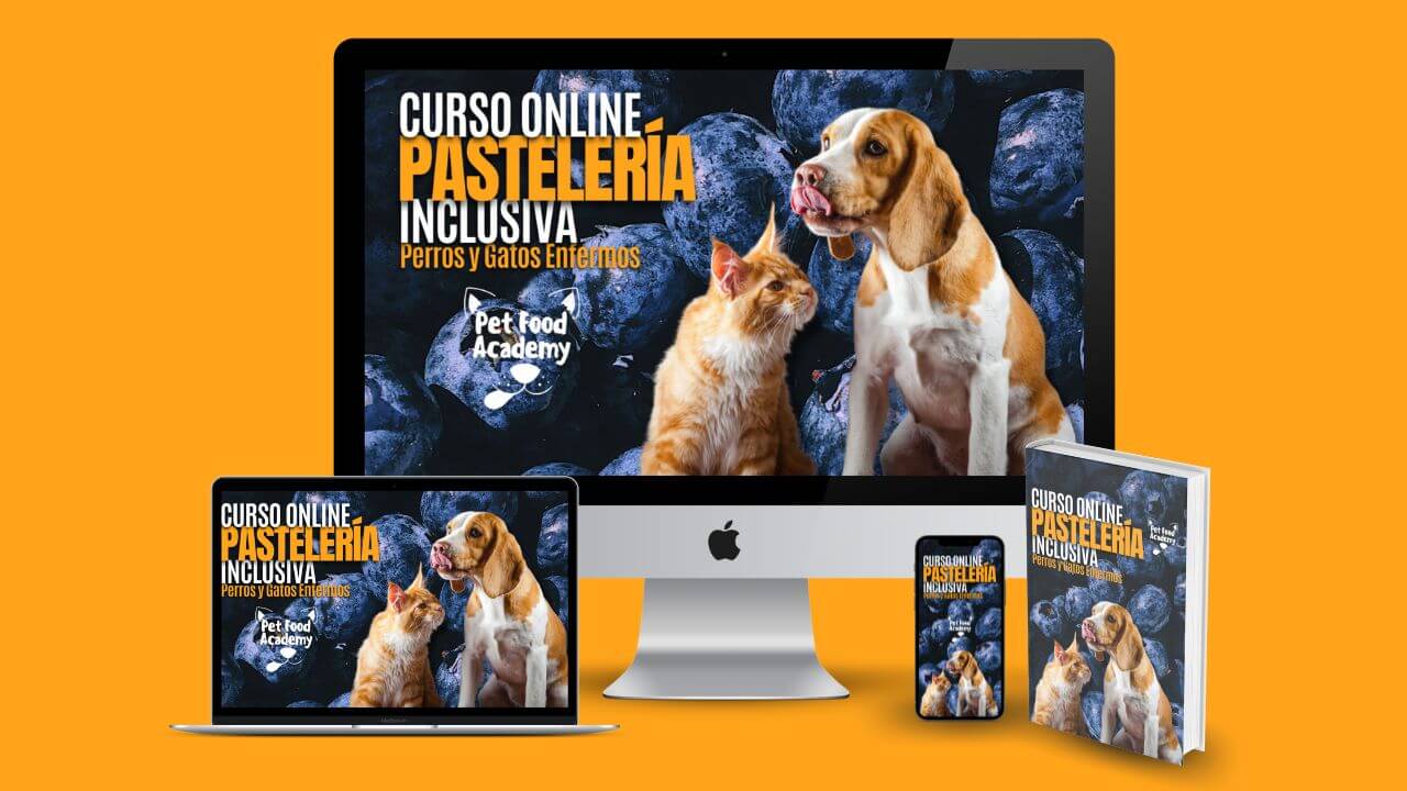 Pasteleria para perros y gatos enfermos - Petfoodacademy