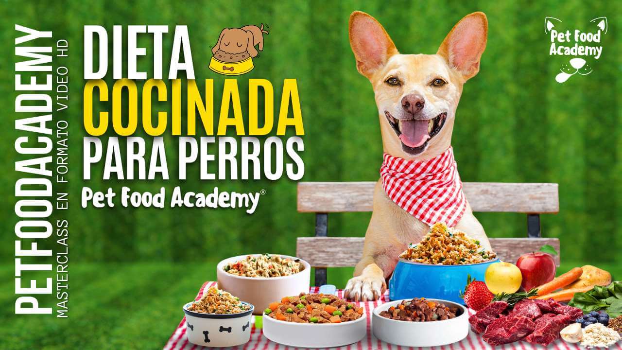 Dieta cocinada para perros - Petfoodacademy