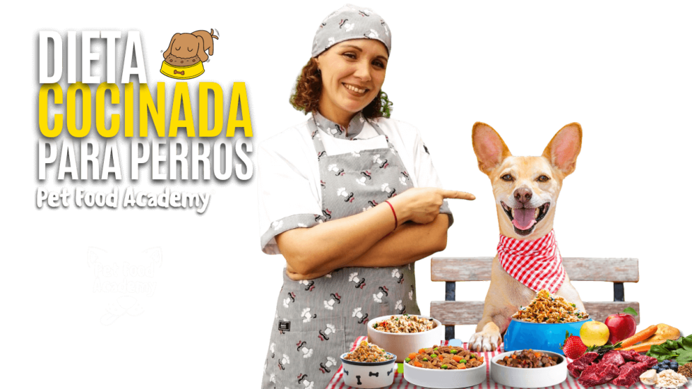 Dieta cocinada para perros - Petfoodacademy